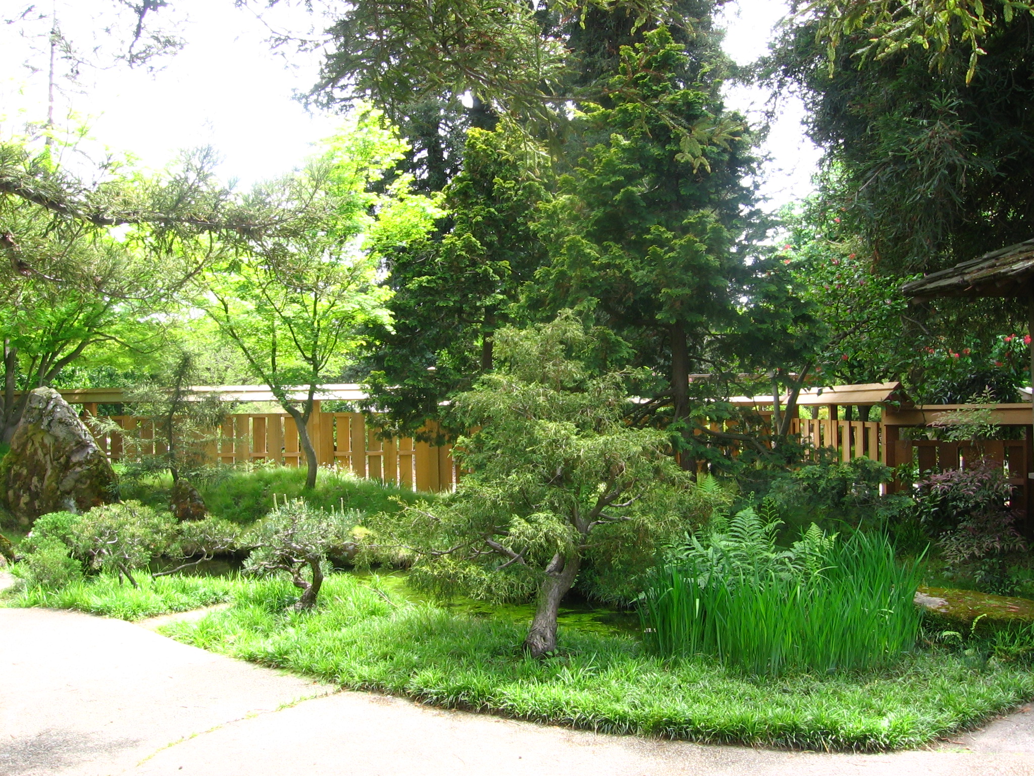 Le bénévolat dans les espaces verts en Californie - Jardinage ...